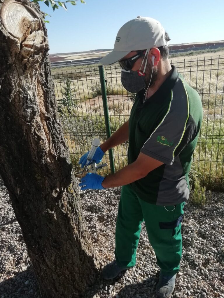 Endoterapia Vegetal Sin Taladro | ARBORSYSTEMS - Arborsystems